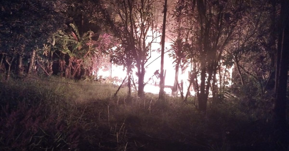 Homem incendeia casa de madeira para matar enxame de abelhas em Canelinha Homem incendeia casa de madeira para matar enxame de abelhas em Canelinha
